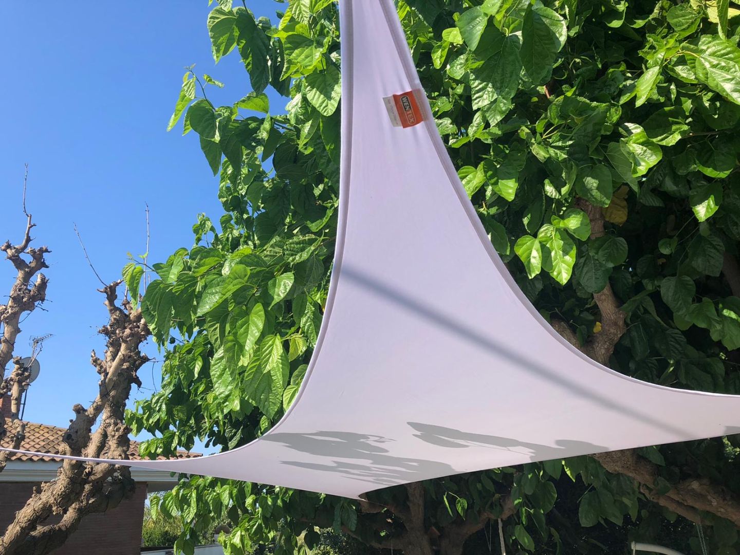 Thearent - Available in three unique shapes: square, triangle, and ...