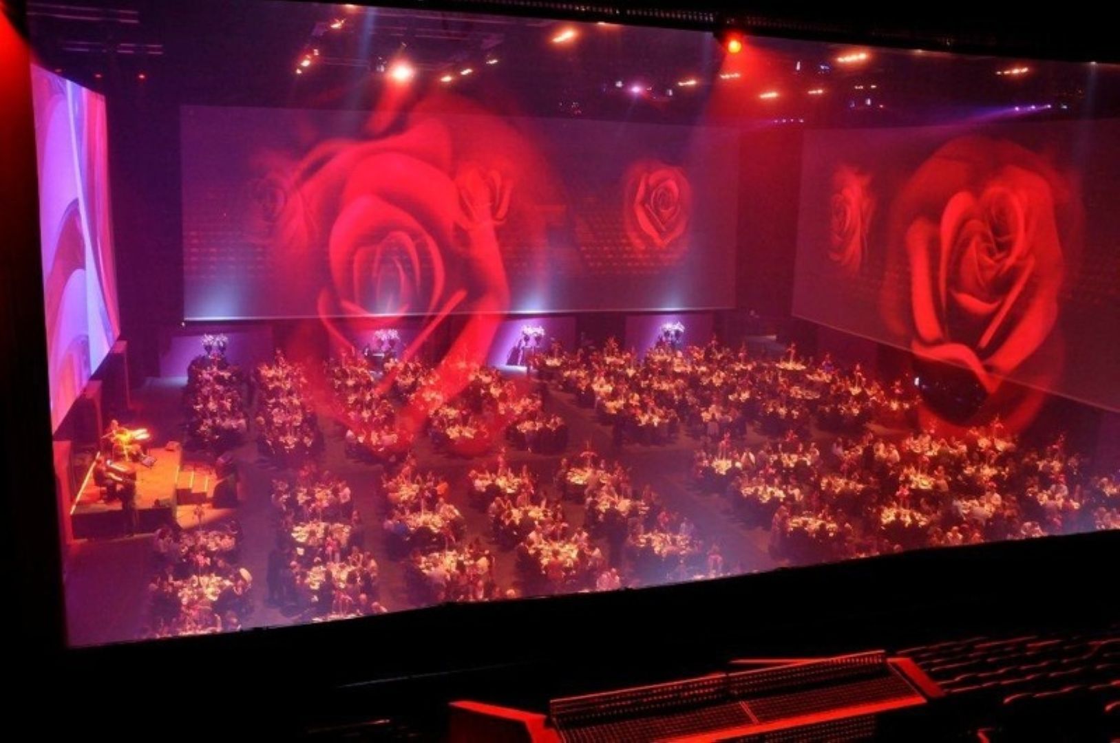 Thearent - Portfolio