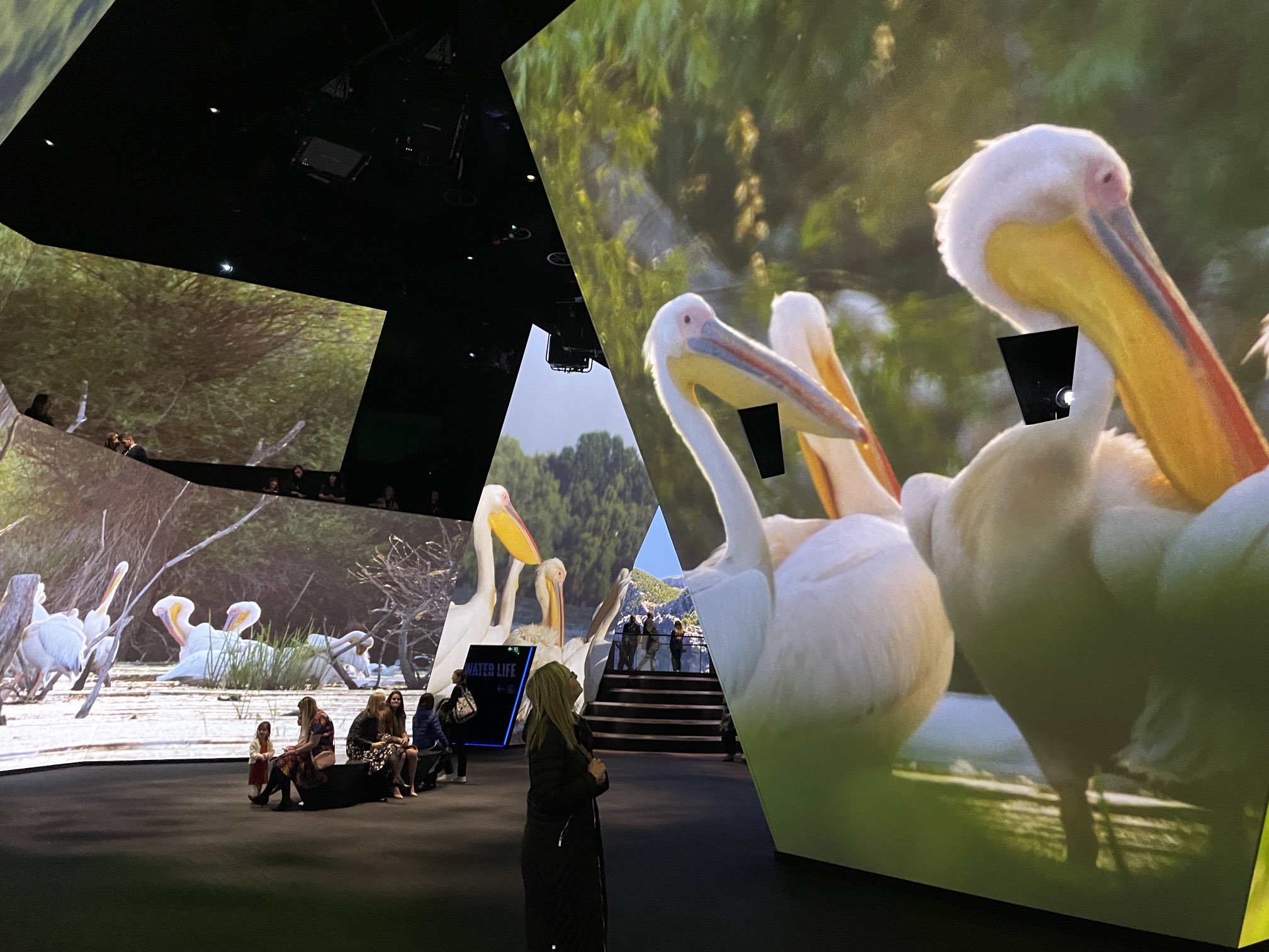 Thearent - Portfolio